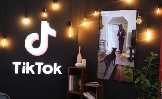 一步步教你：在苹果手机上设置并下载TikTok的完整指南-zvcard